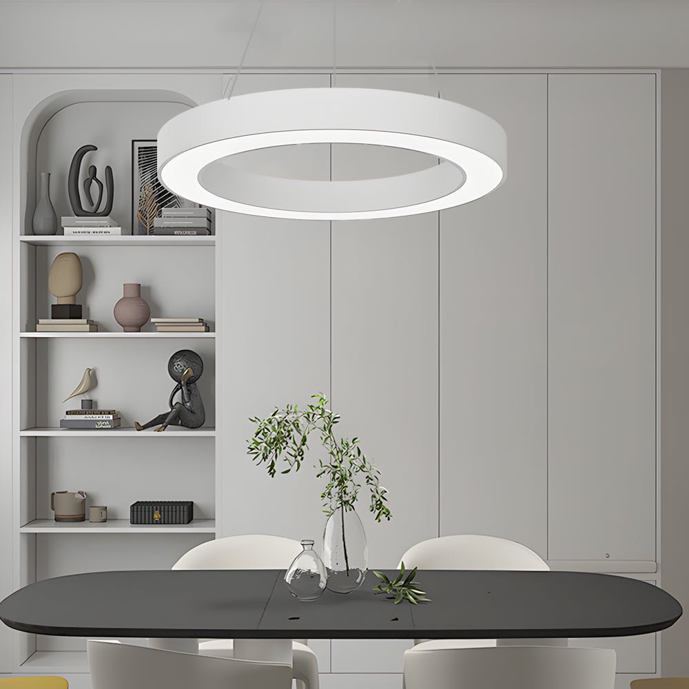 LED Pendant Light - Round Ring Hanging Fixture for Office & Gym Spaces ...